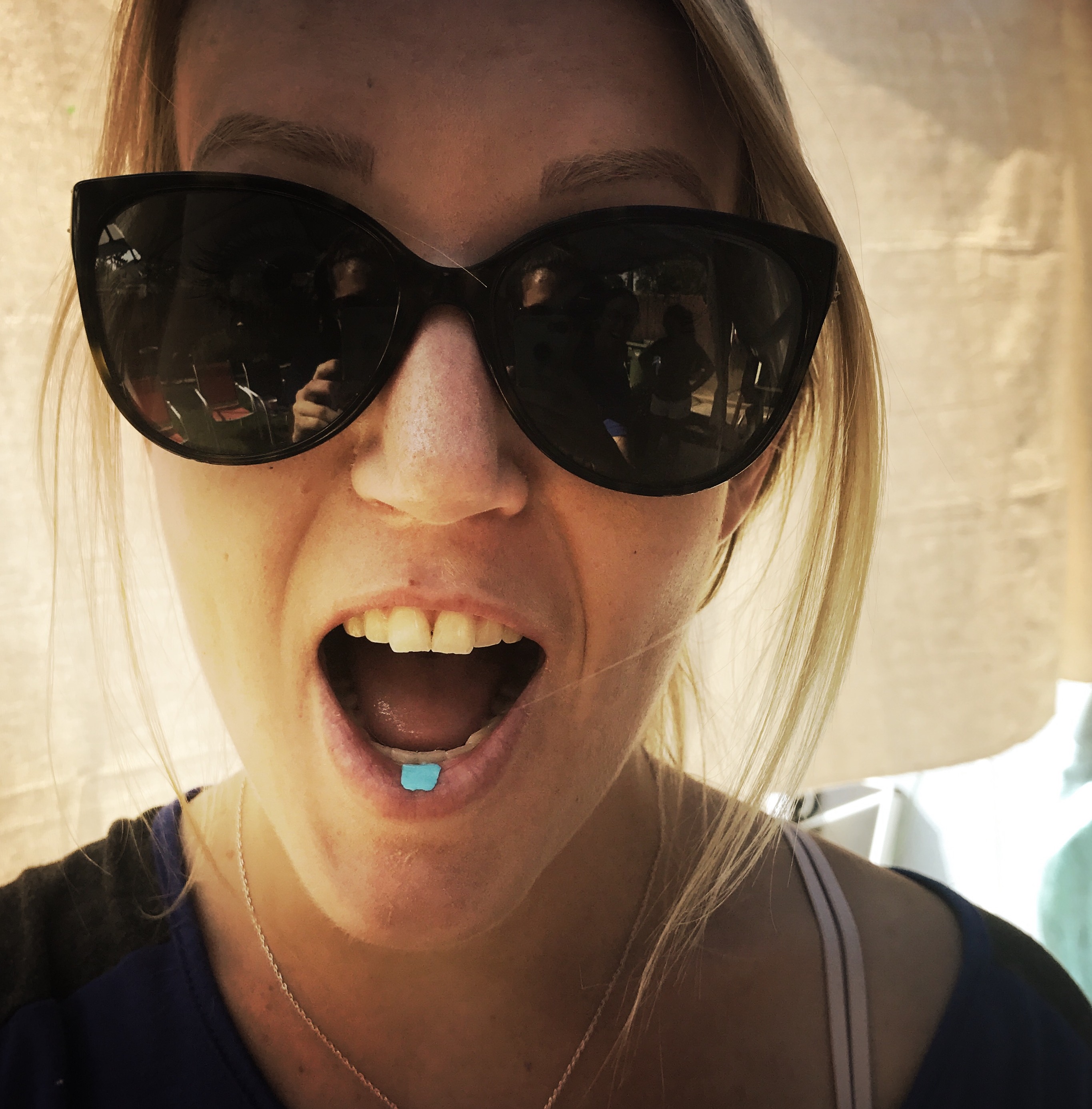 How to Recreate the Princess Diaries Painting – Kimberlee K.